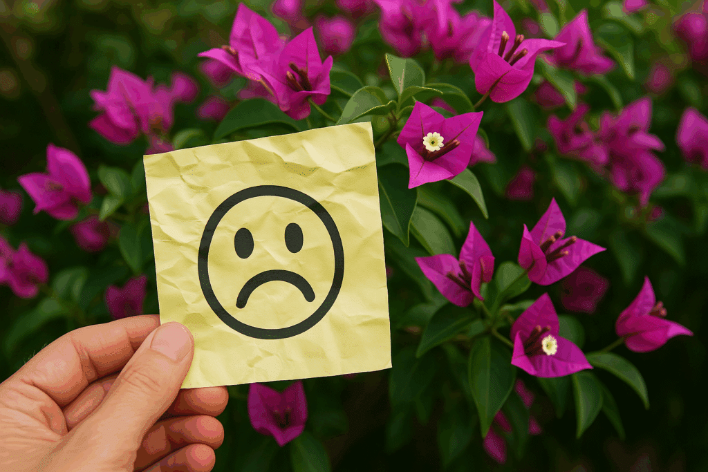 Lidl fait le buzz avec son arrivage Parkside de dingue pour cette fin ...